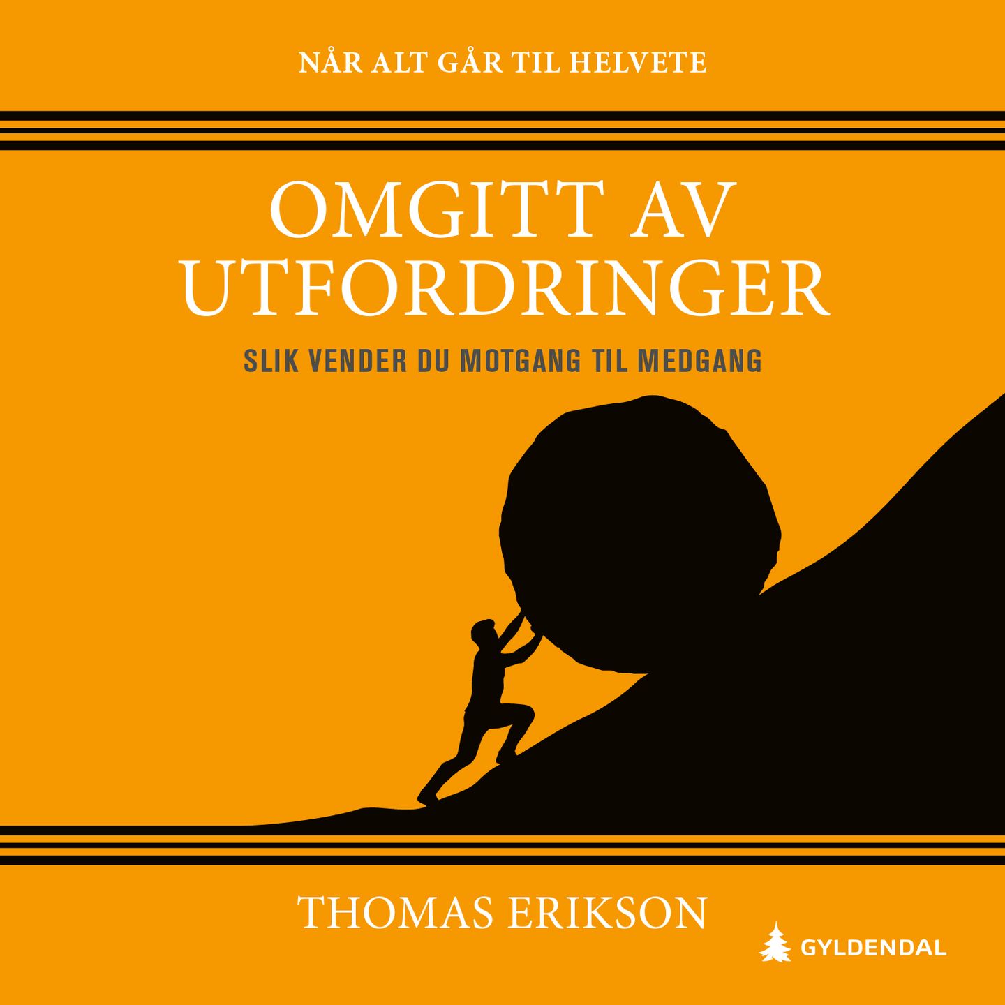 Omgitt av utfordringer - Thomas Erikson - Lydbok - Fabel