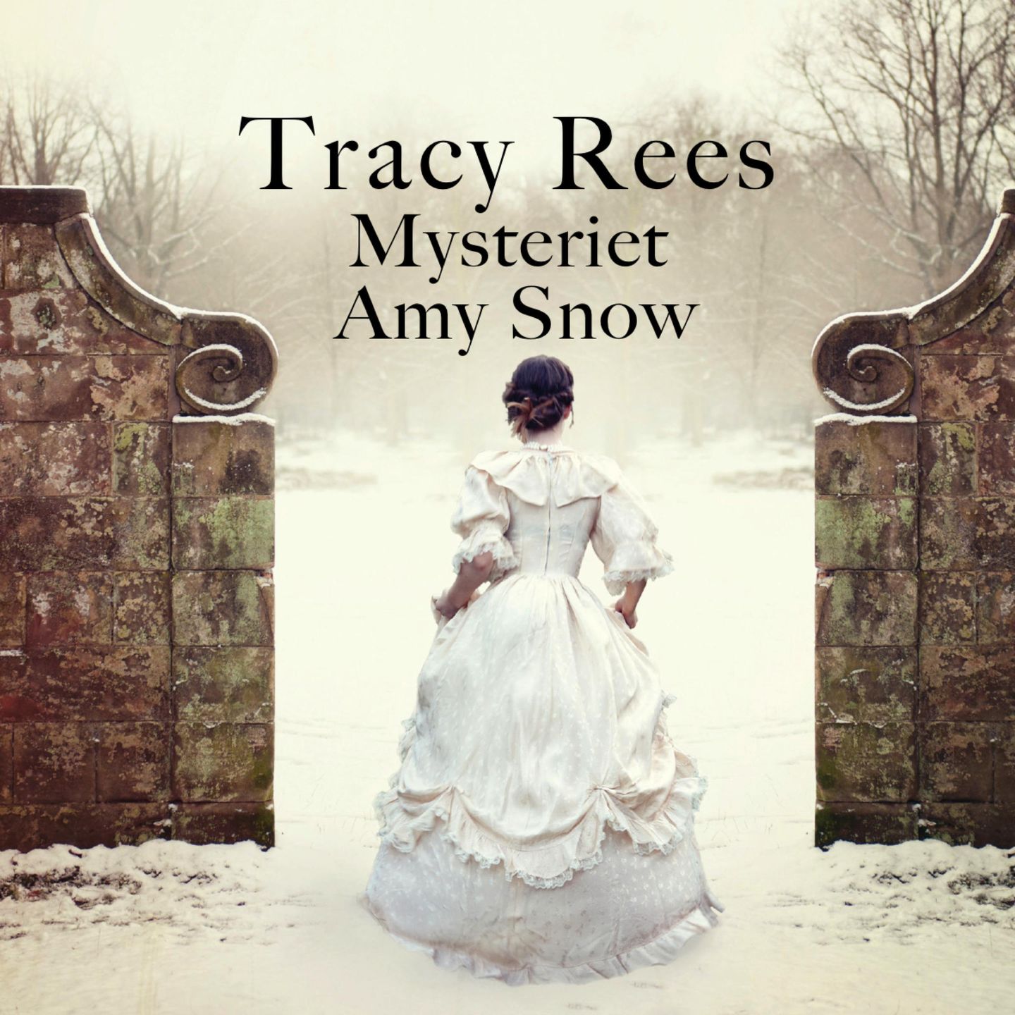 Mysteriet Amy Snow - Tracy Rees - Romaner - Lydbok - Fabel