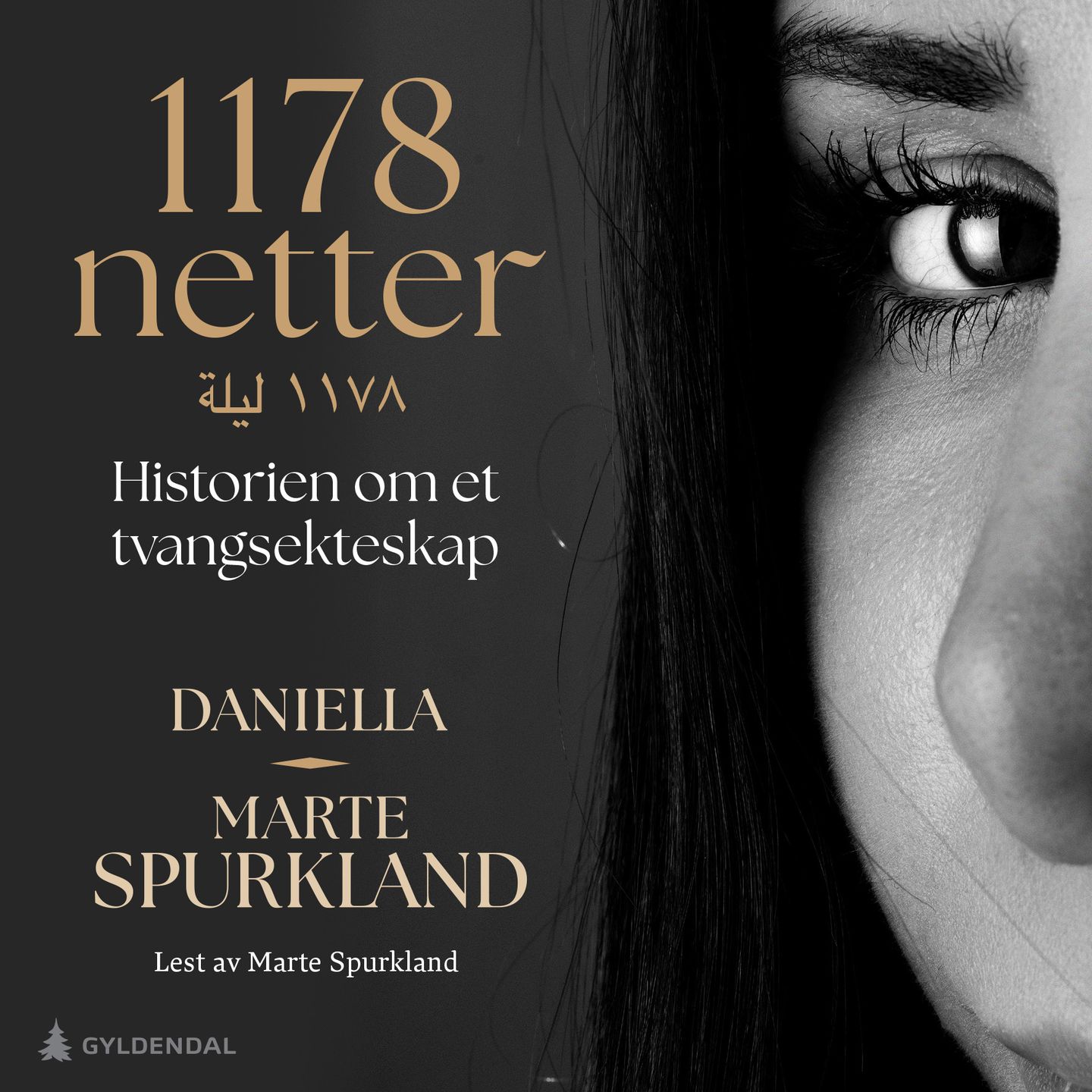 1178 netter - Daniella og Marte Spurkland - Lydbok - Fabel