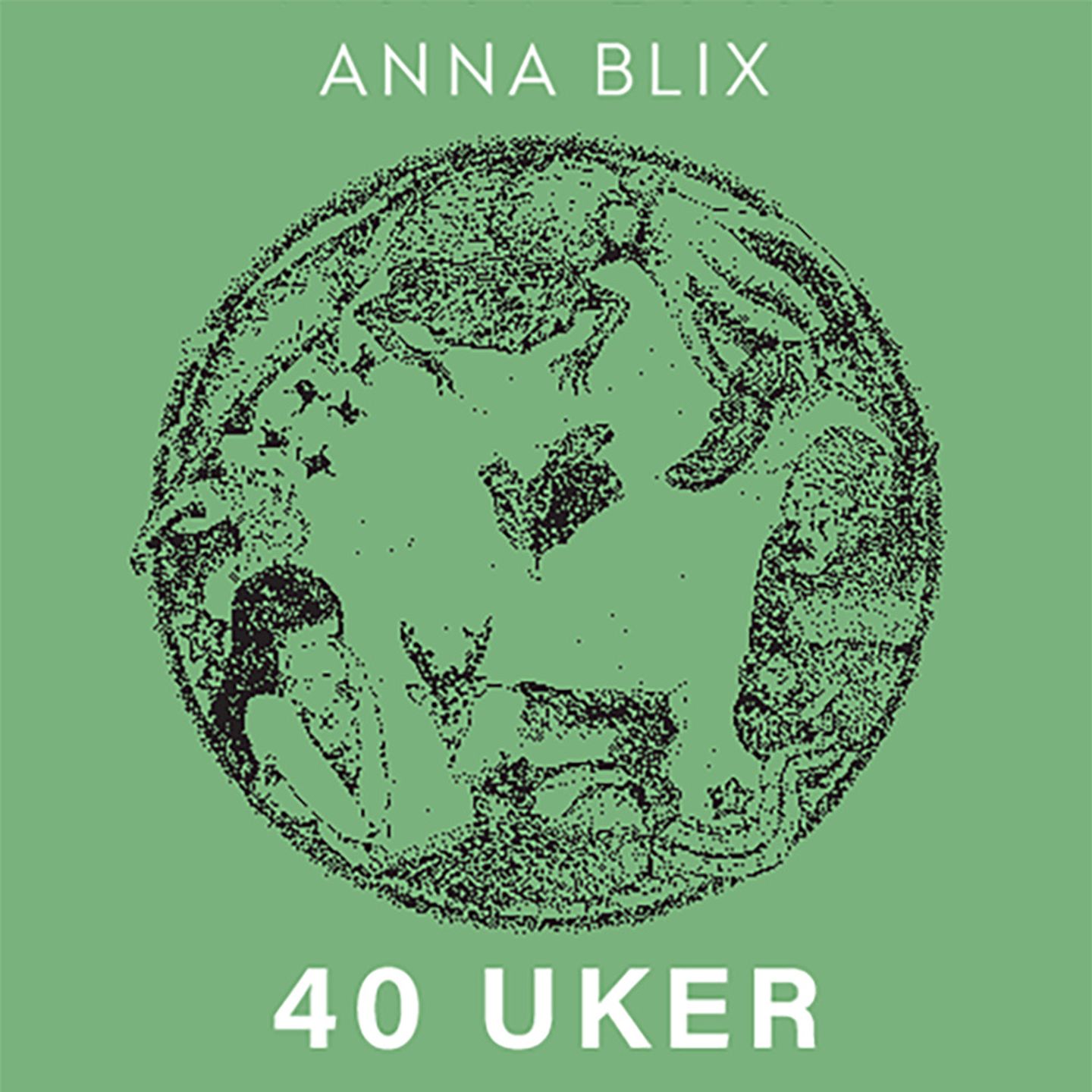 40 uker - Anna Wisborg Blix - Fakta og dokumentar - Lydbok - Fabel
