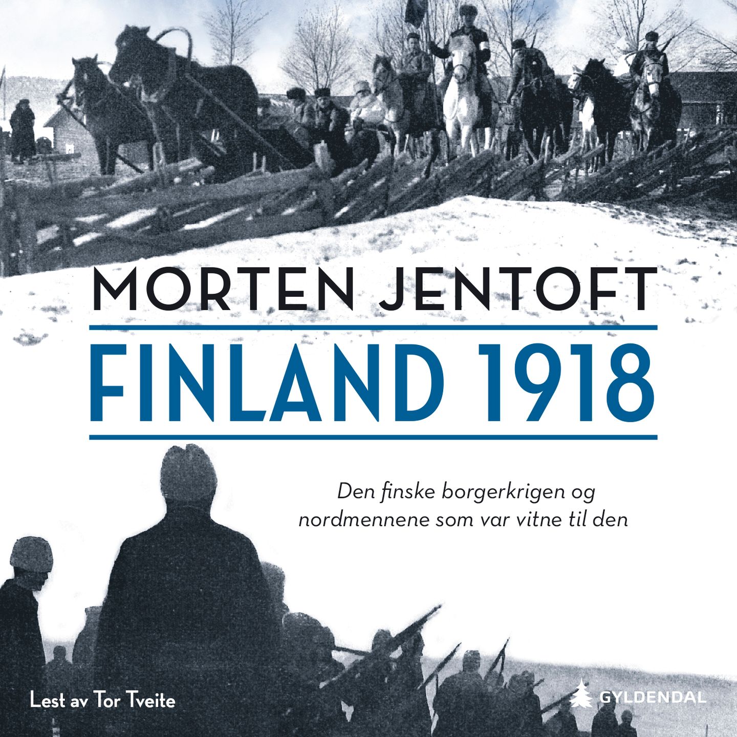 Finland 1918 - Morten Jentoft - Fakta og dokumentar - Lydbok - Fabel