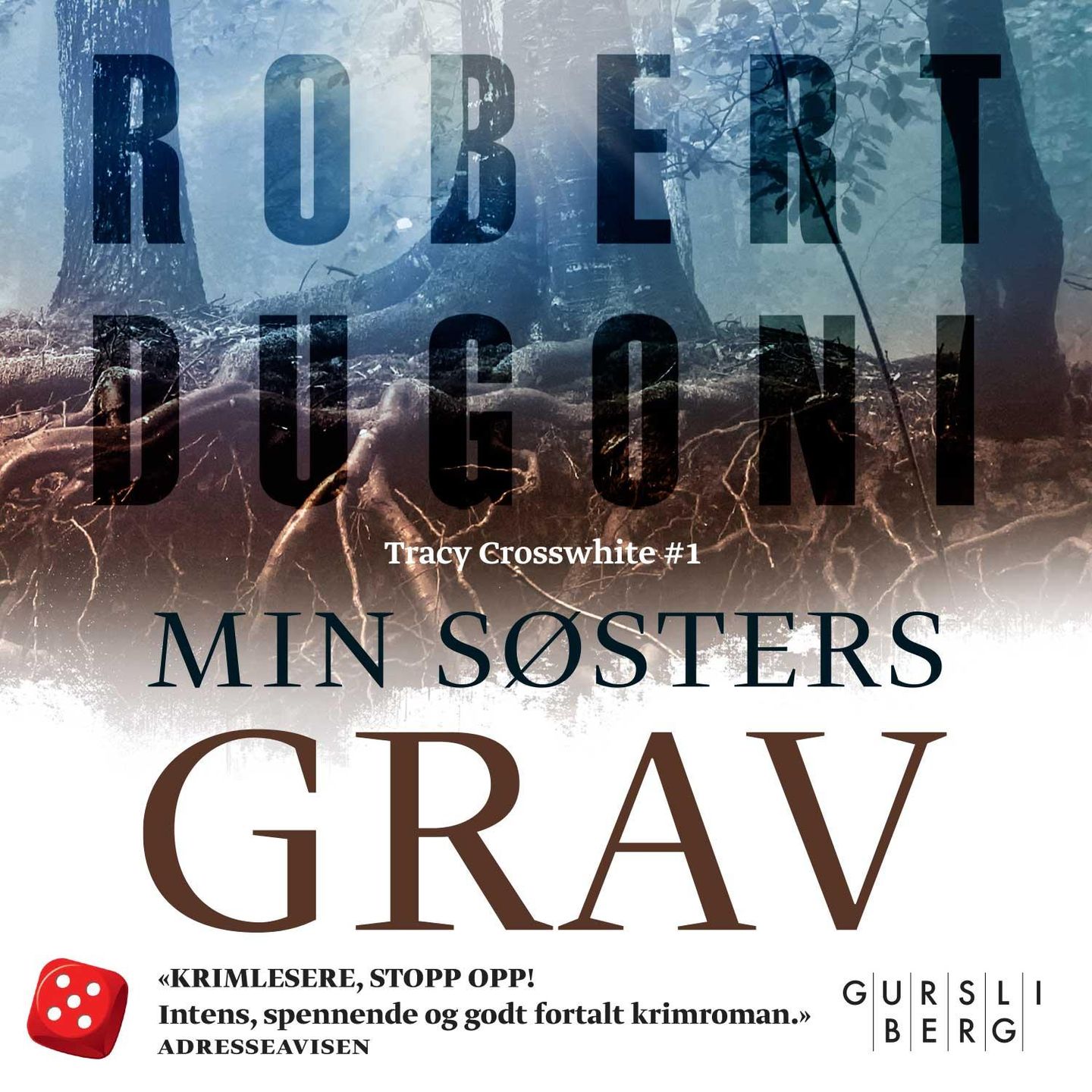 Min søsters grav - Robert Dugoni - Krim og spenning - Lydbok - Fabel