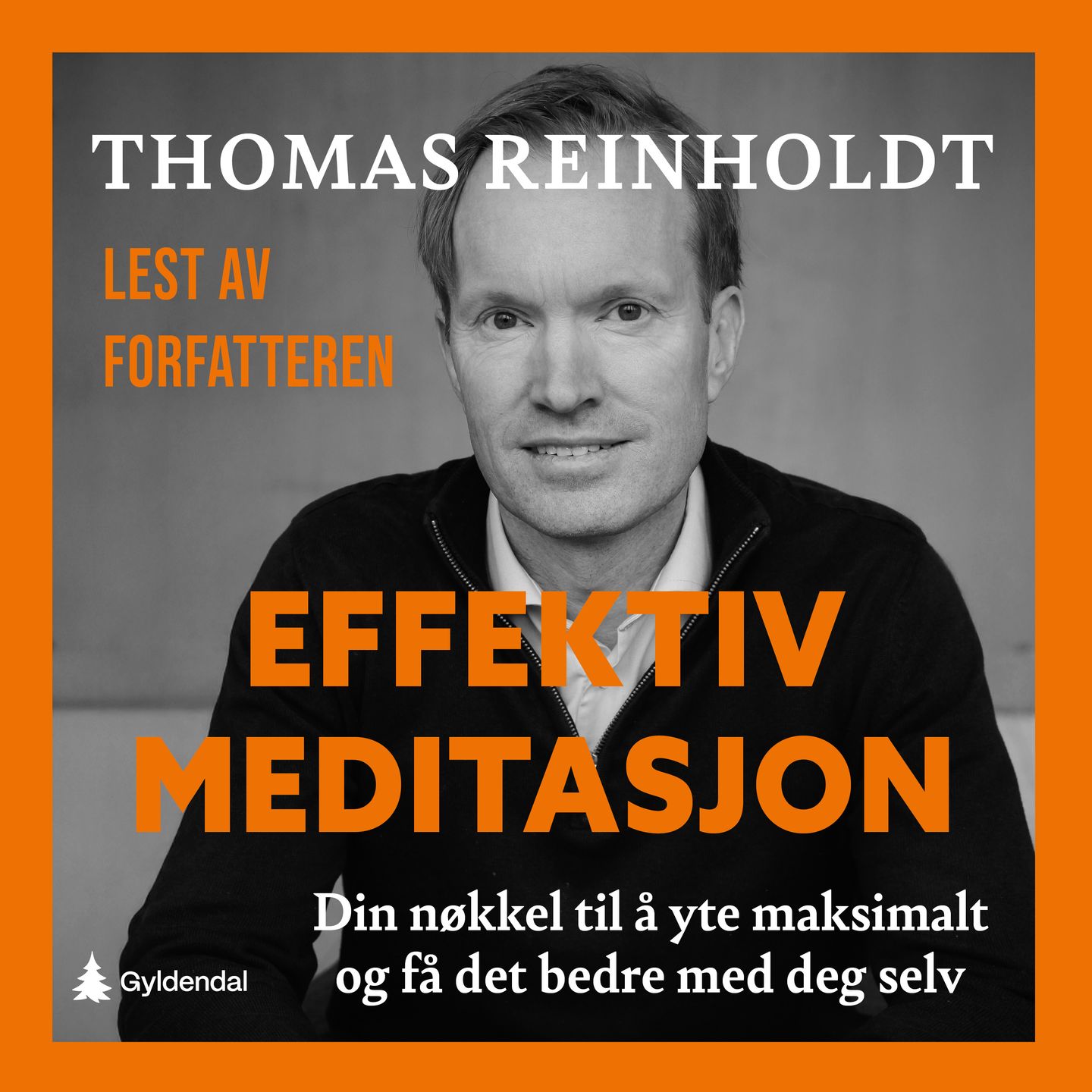 Effektiv meditasjon - Thomas Reinholdt - Fakta og dokumentar - Lydbok ...