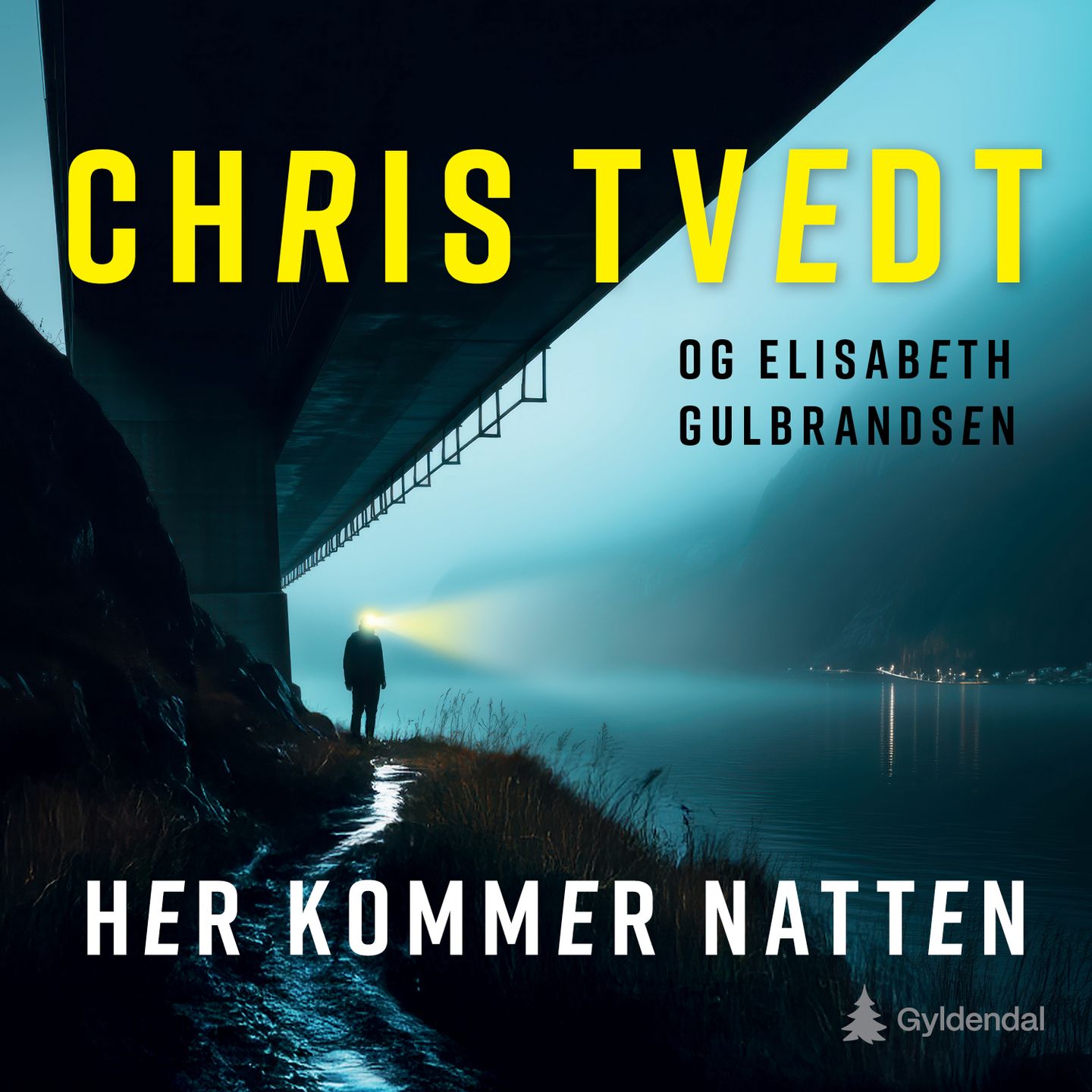 Her kommer natten - Chris Tvedt Elisabeth Gulbrandsen - Krim og ...