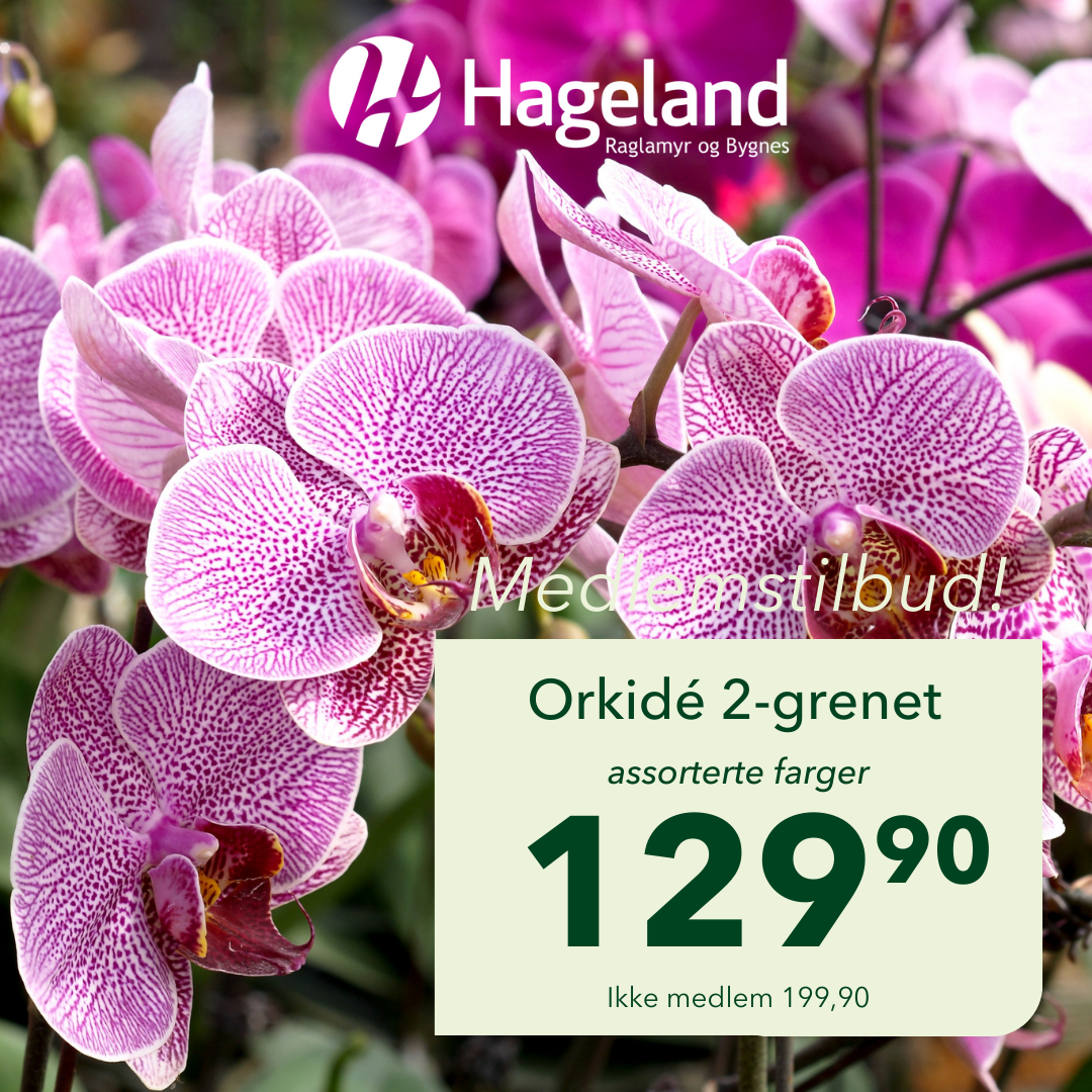 Hageland Bygnes | Hageland