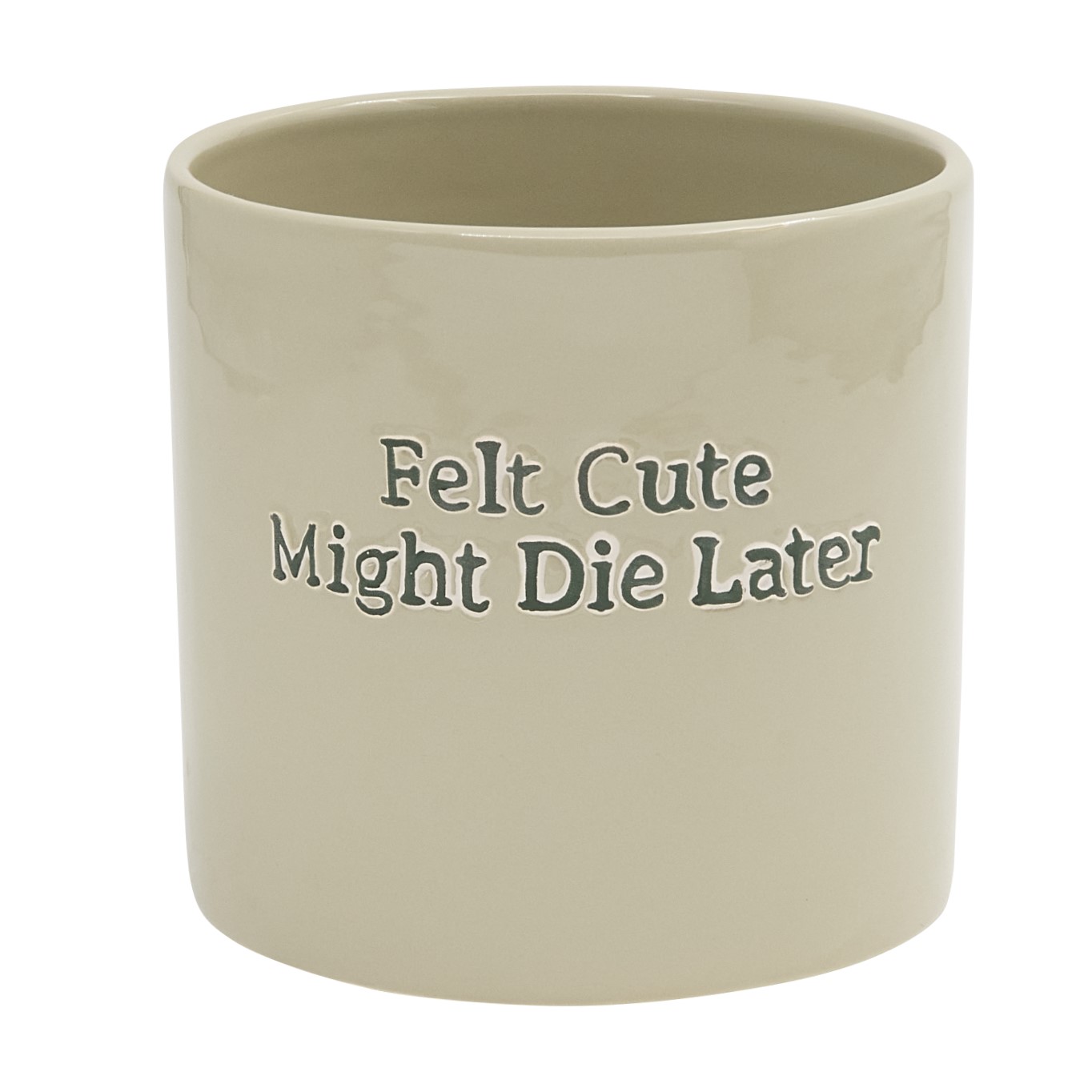 Pot Felt Cute Might Die Later | Plantasjen