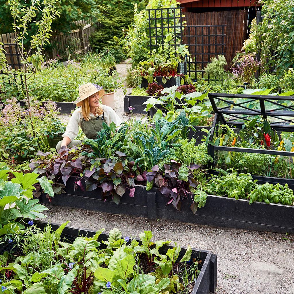 From dull lawn to thriving vegetable garden | Plantagen