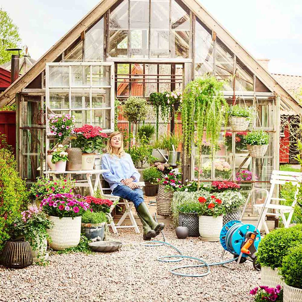 Drivhus – guide til valg, bruk og dyrking | Plantasjen | Plantasjen
