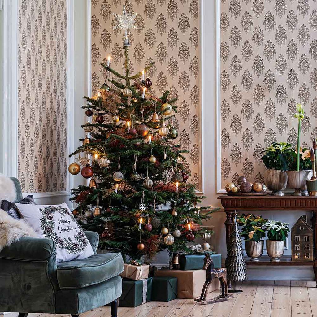 How to Care for Your Christmas Tree – Tips an.. | Plantagen