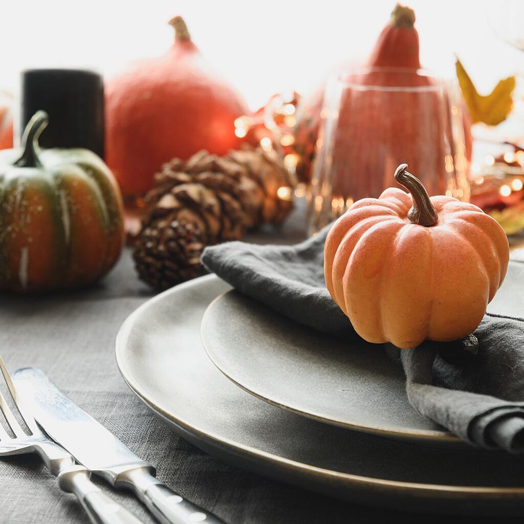 Decorate for Halloween with flowers and pumpk.. | Plantagen