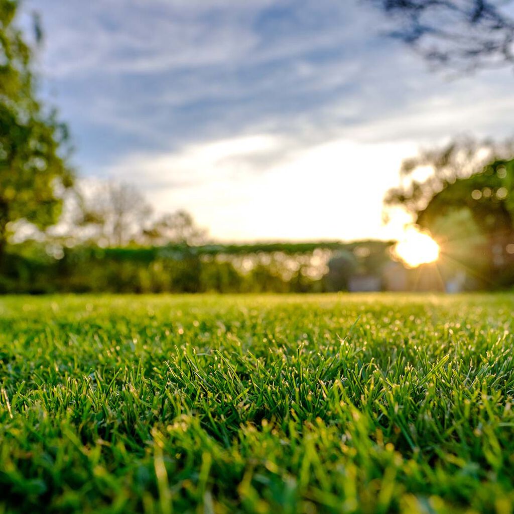 Perfect lawn - all year | Plantagen