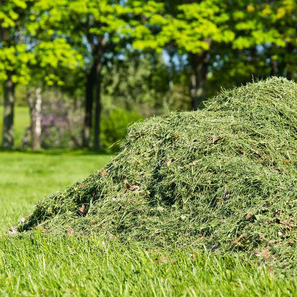 Use grass clippings to improve the garden | Plantagen