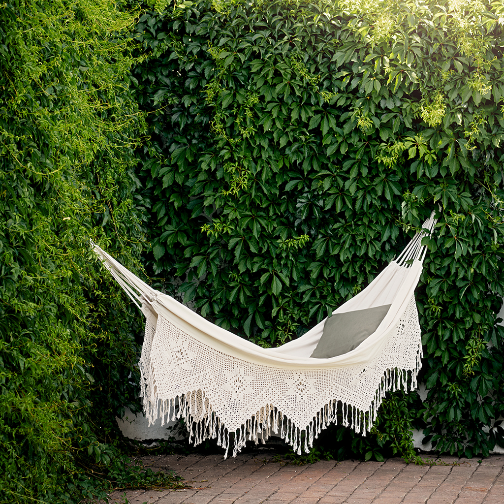 Choosing a hedge – Different types of hedges and what they are suitable ...