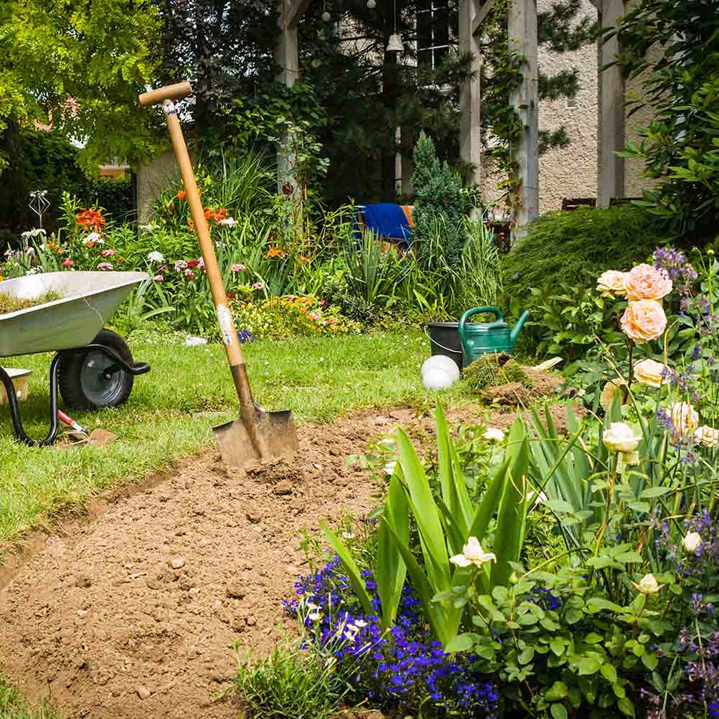 Flower beds – how to succeed | Plantagen