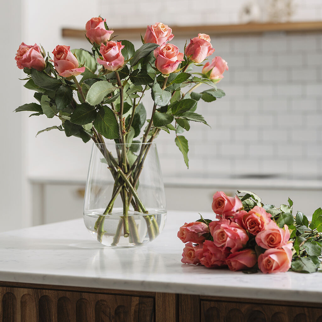 Plantasjen's roses – from production to store | Plantagen