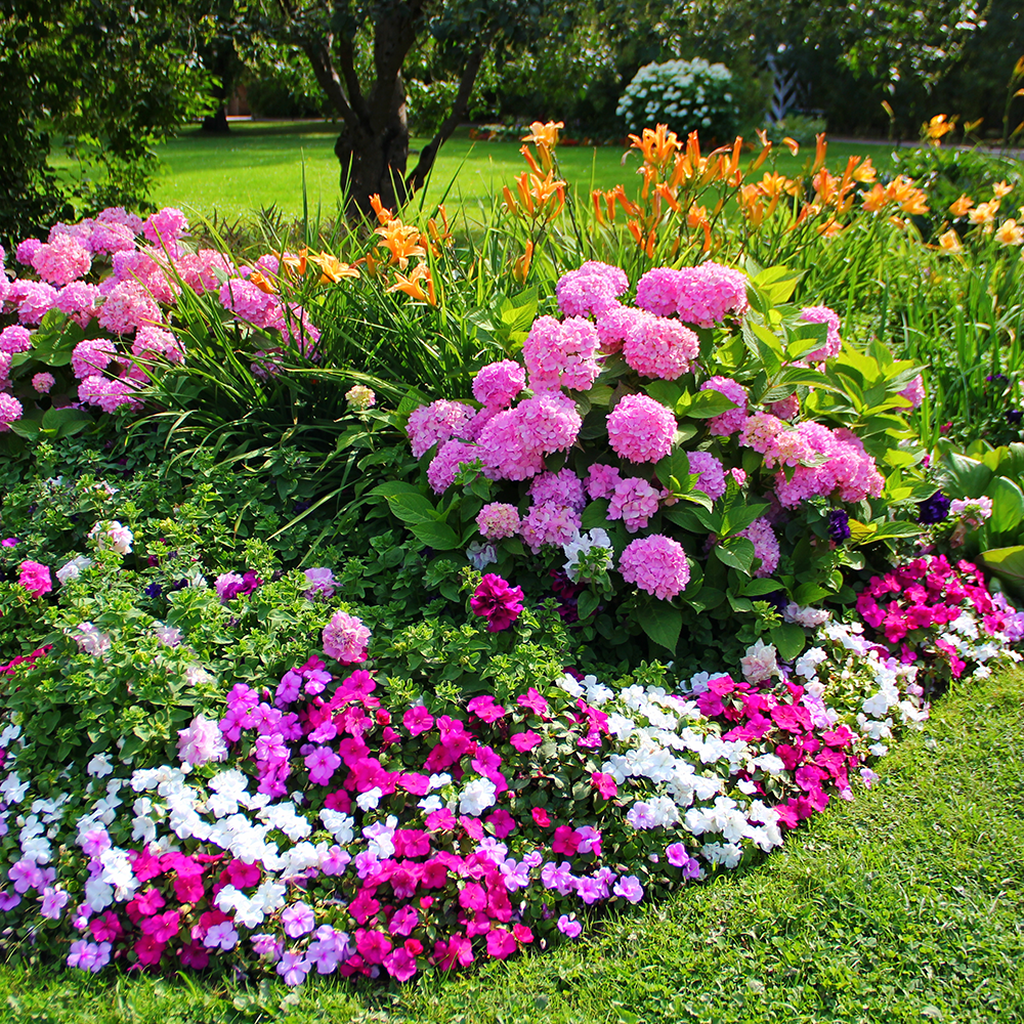 Blomsterbed – fire ferdigkomponerte bed med planteforslag | Plantasjen