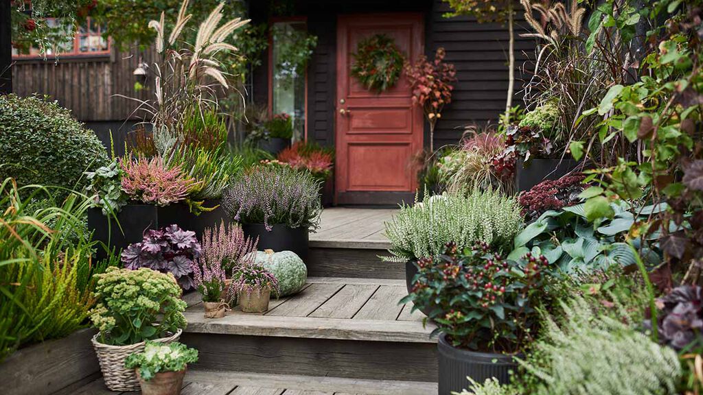 Gör höstfint på balkong, altan och vid entré | Plantagen