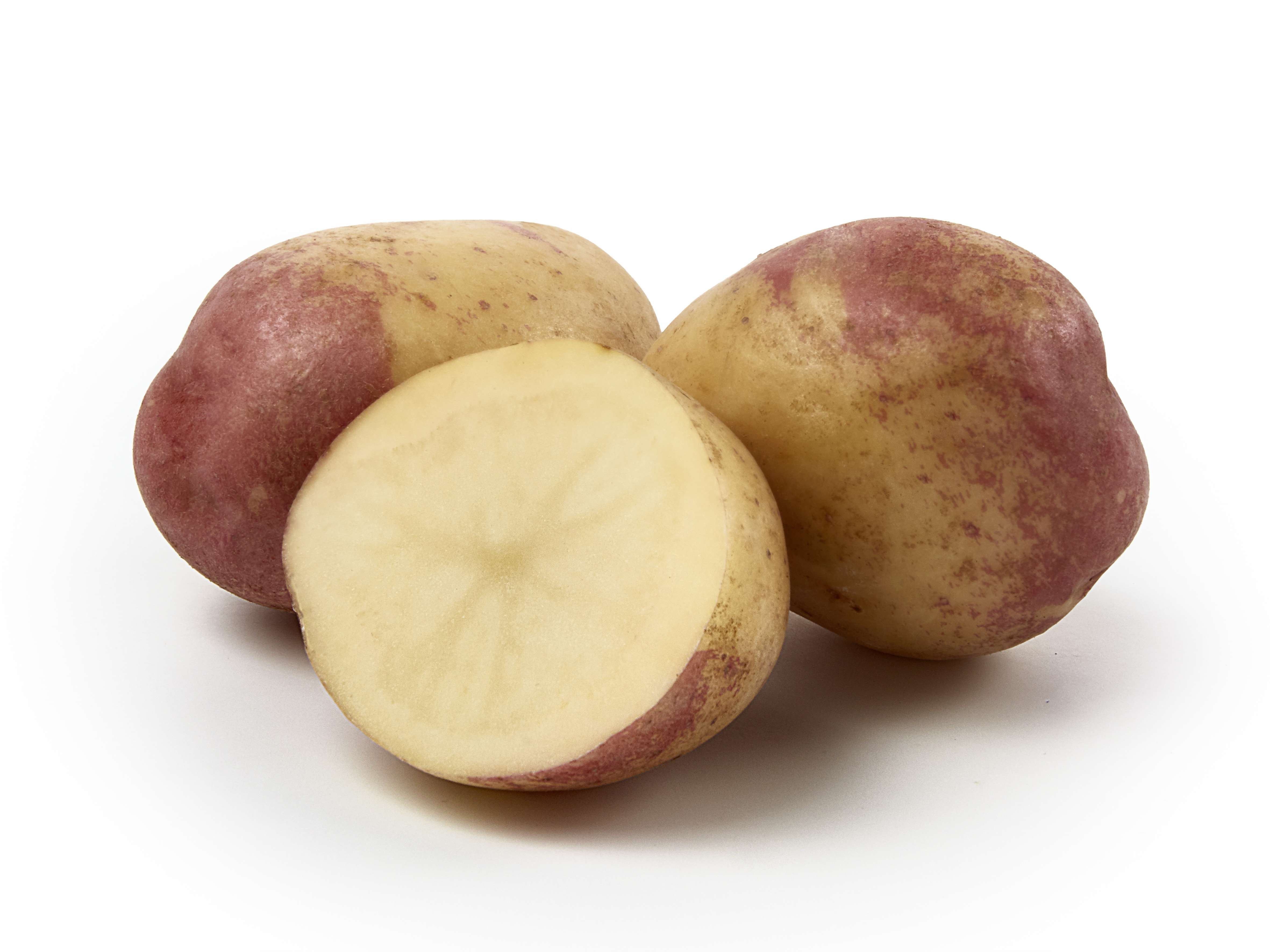 Potato King Edward 3 KG | Plantagen
