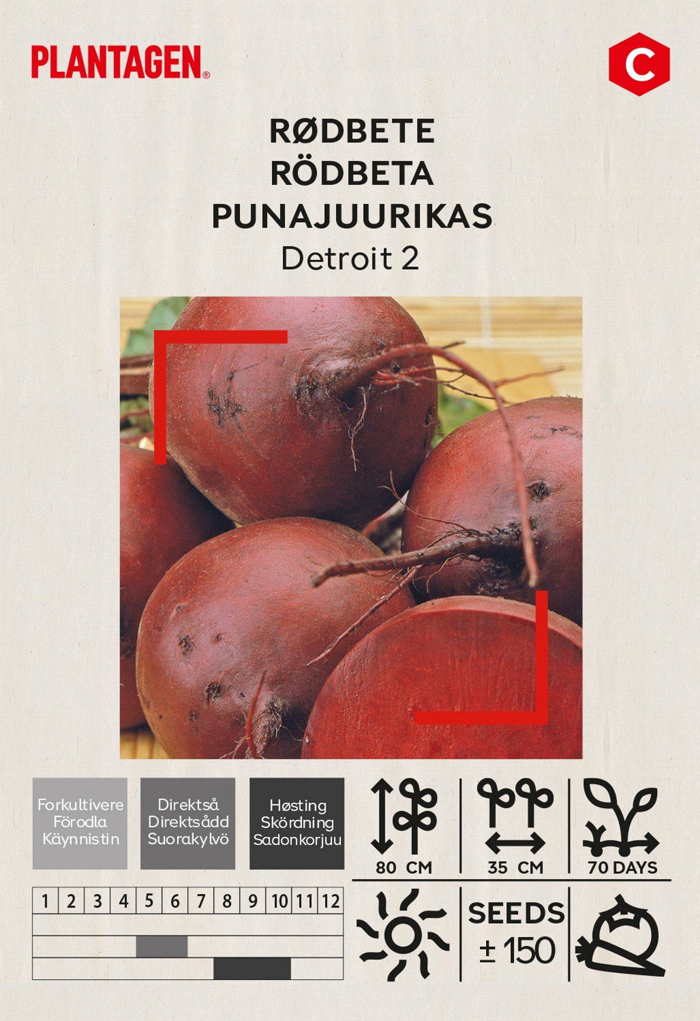 Beetroot Detroit 2 - 3 g | Plantasjen
