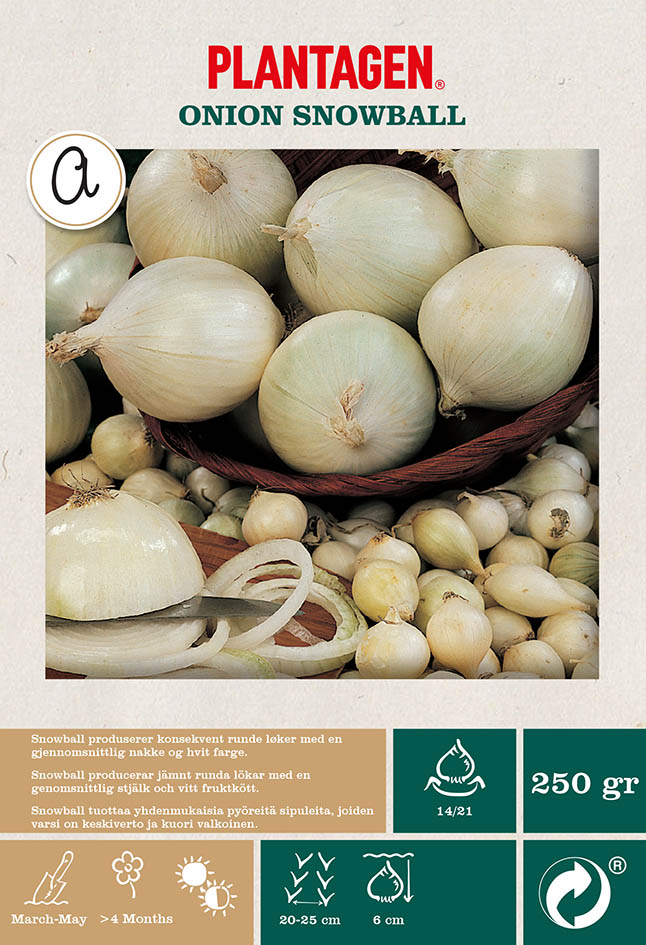 Silverlök 'Snowball', Beige | Plantagen