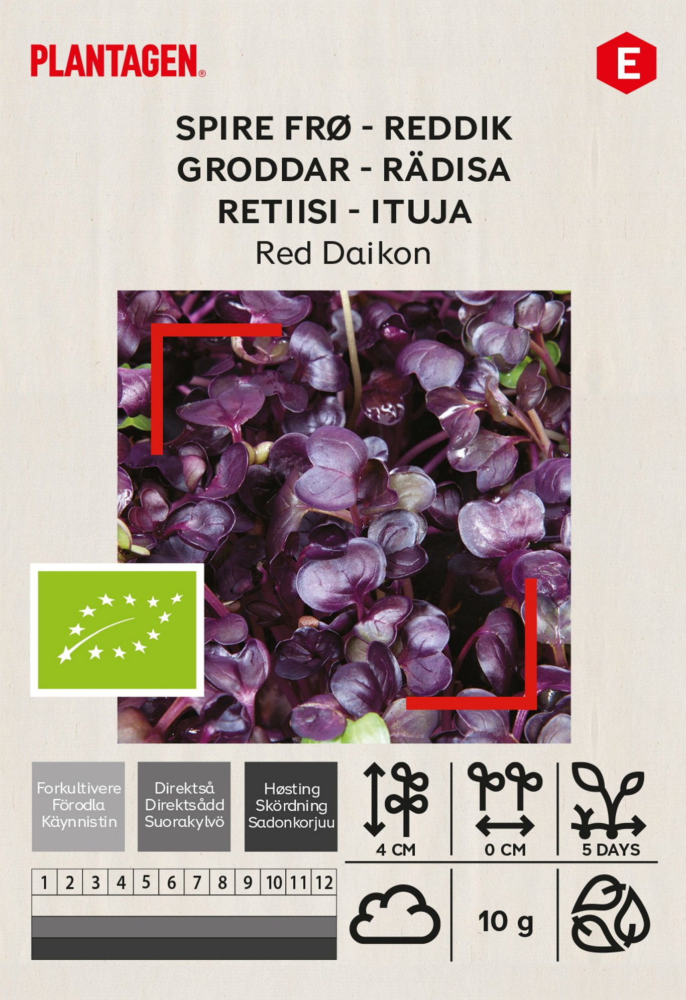 Groddar Rädisa 'Red Daikon' | Plantagen