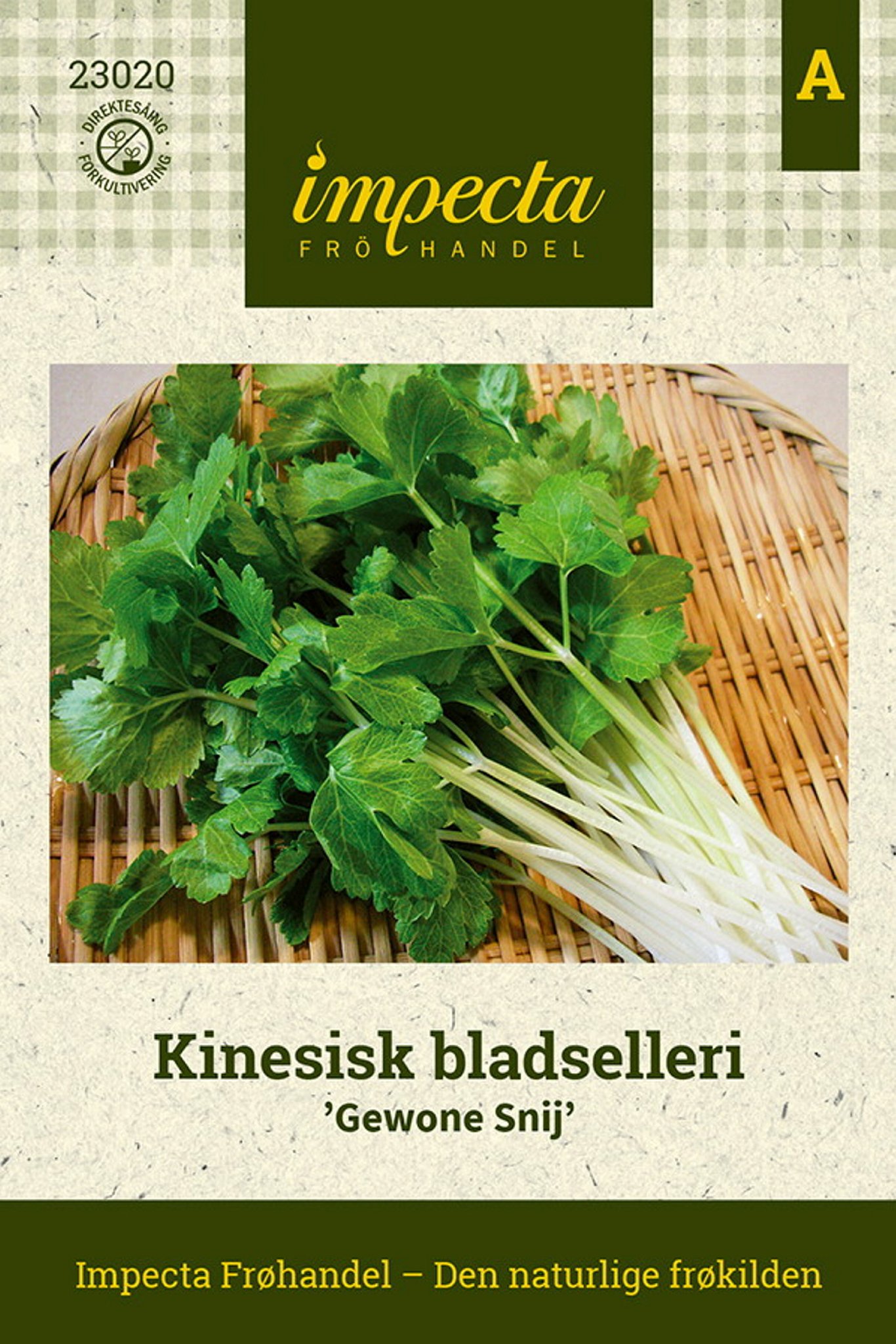 Kinesisk bladselleri 'Gewone Snij', Grønn