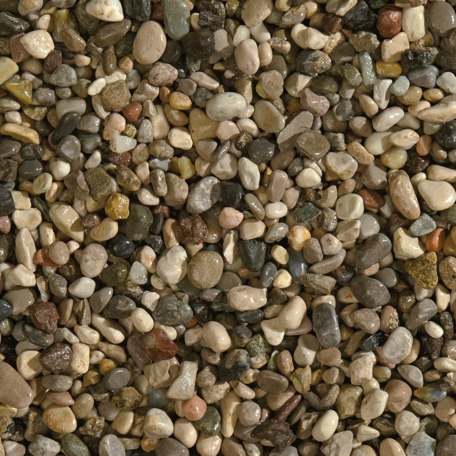 Dekorsten Millefiori 7-15mm, 10 kg, Flerfärgad | Plantagen