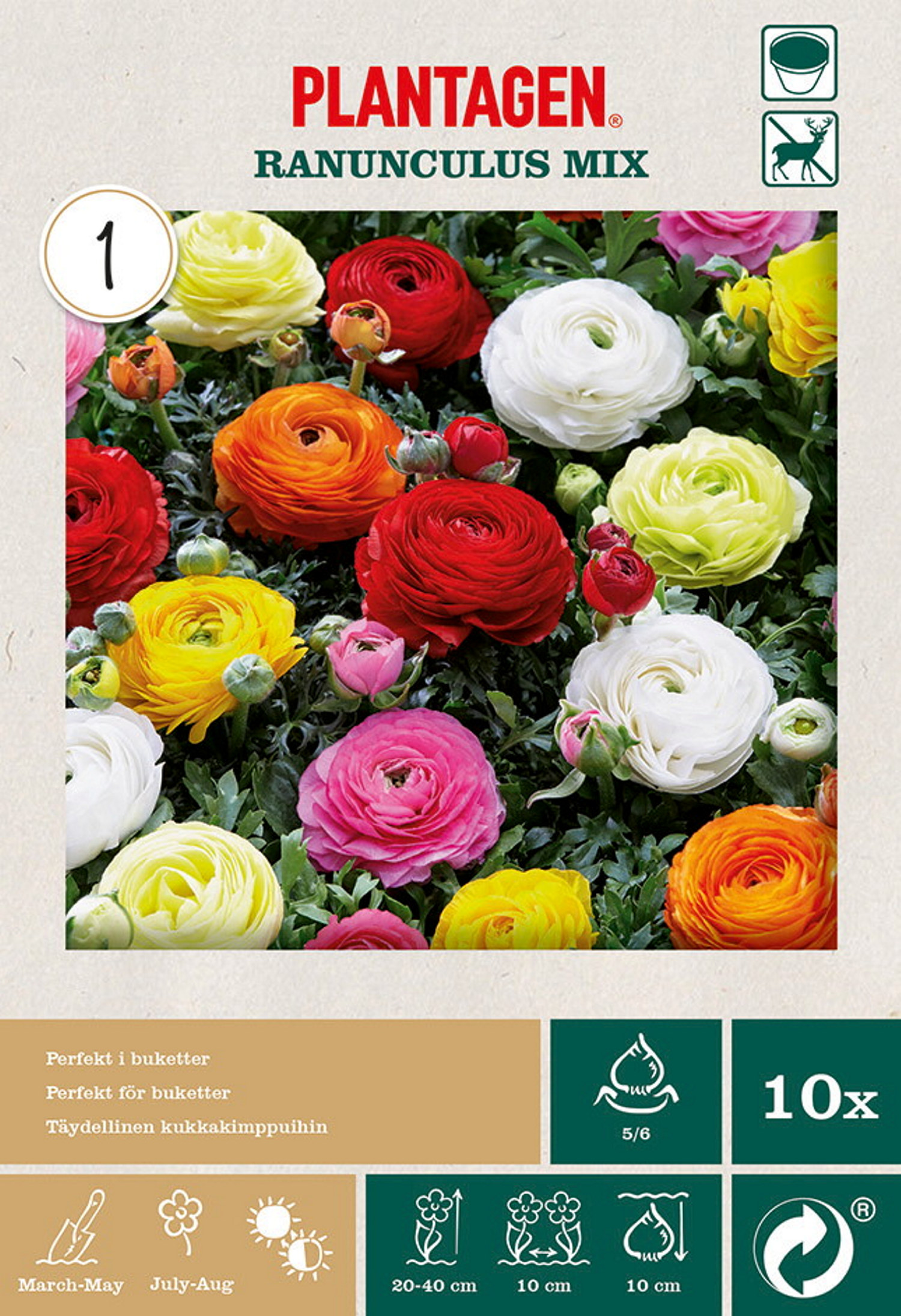 Ranunculus Mix | Plantagen