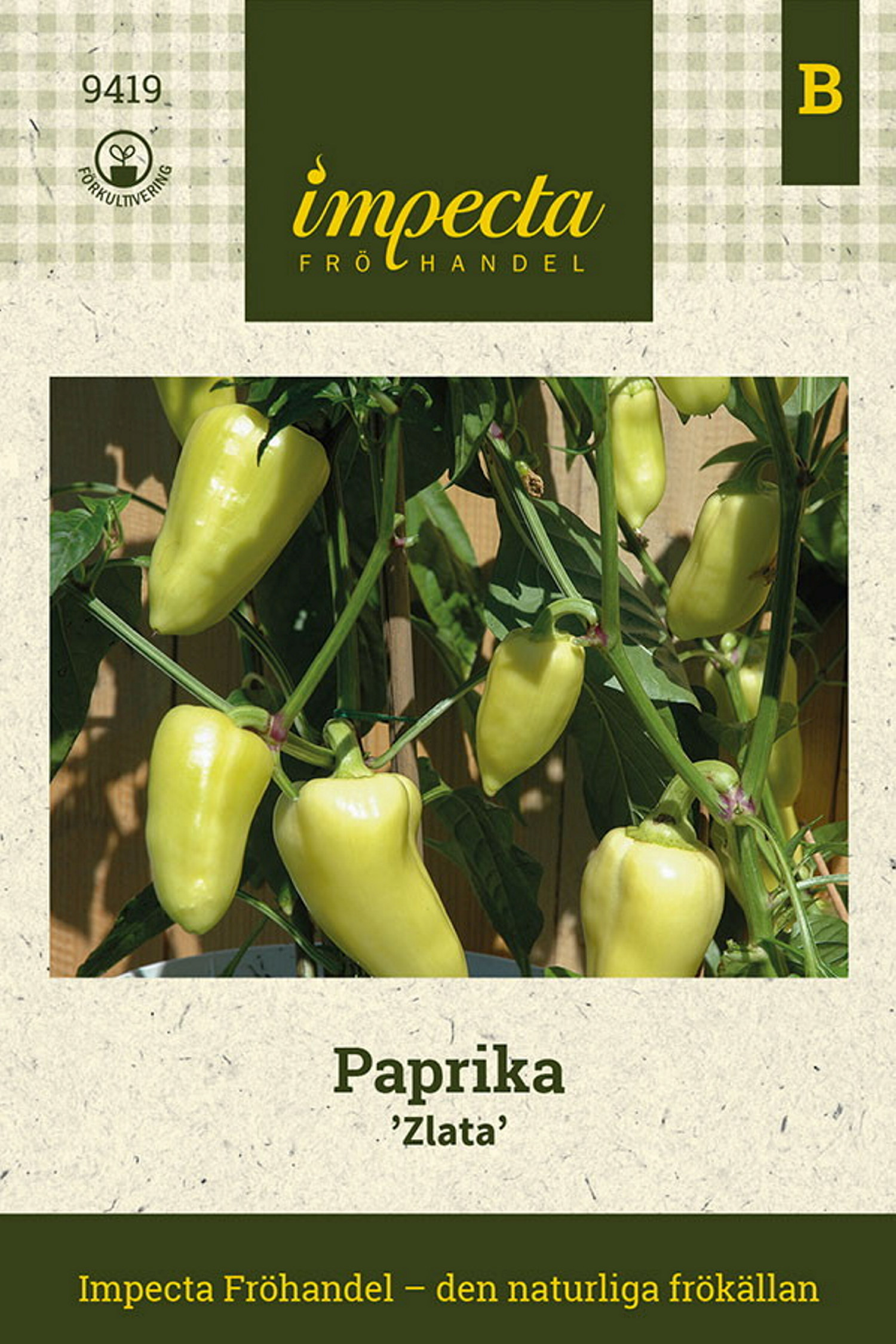 Paprika 'Zlata', Gul | Plantagen