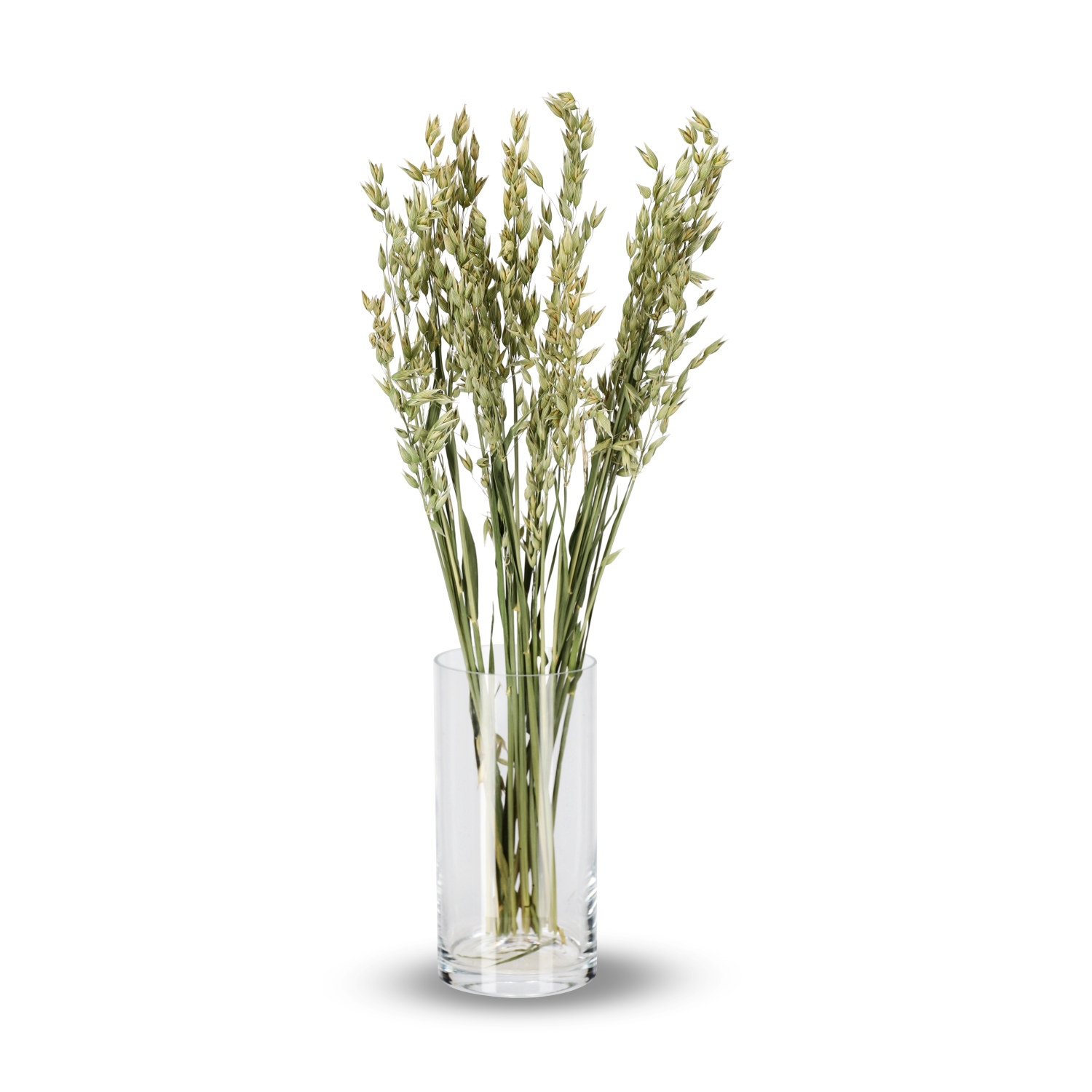 Torkade blommor | Plantagen