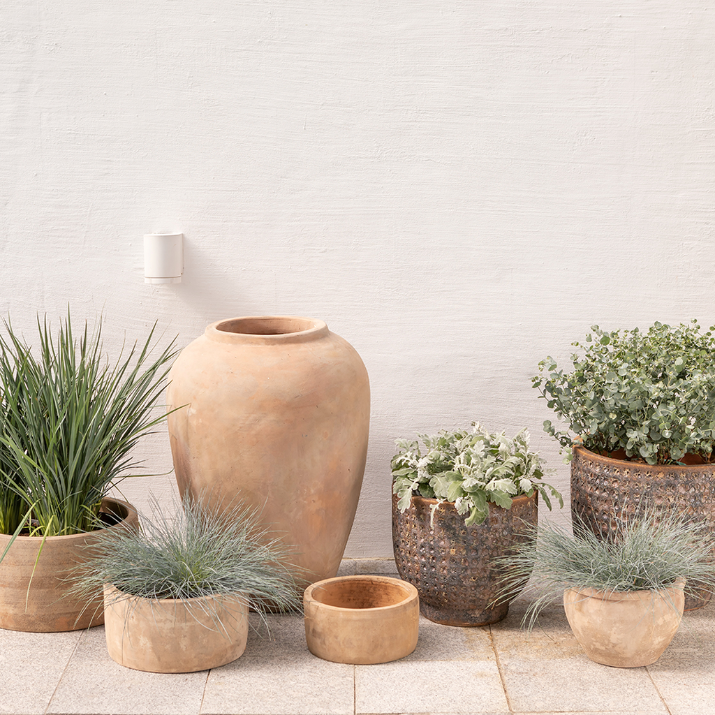 Terracotta pots give the plants an optimal en.. | Plantagen