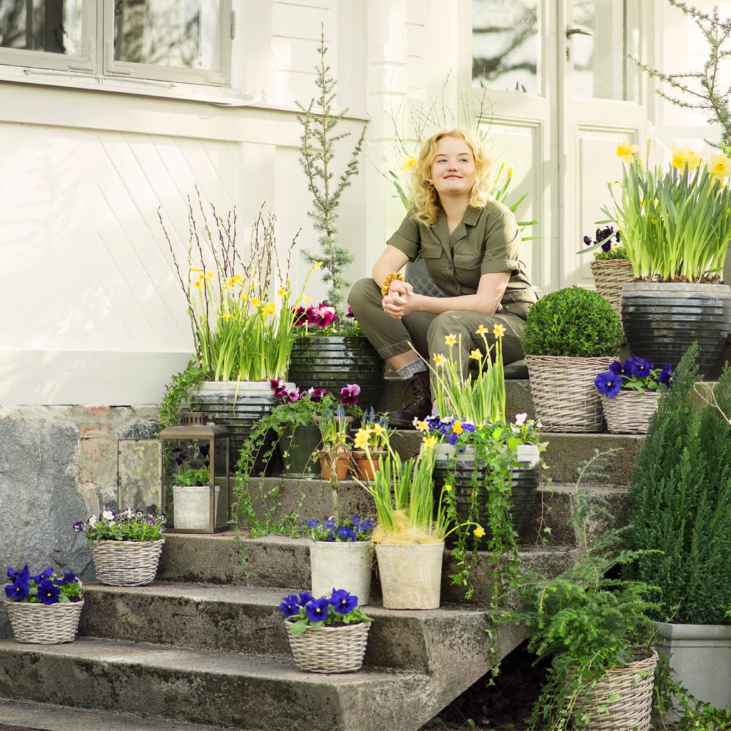 Spring flowers in pots – decorate your entrance for spring | Plantagen