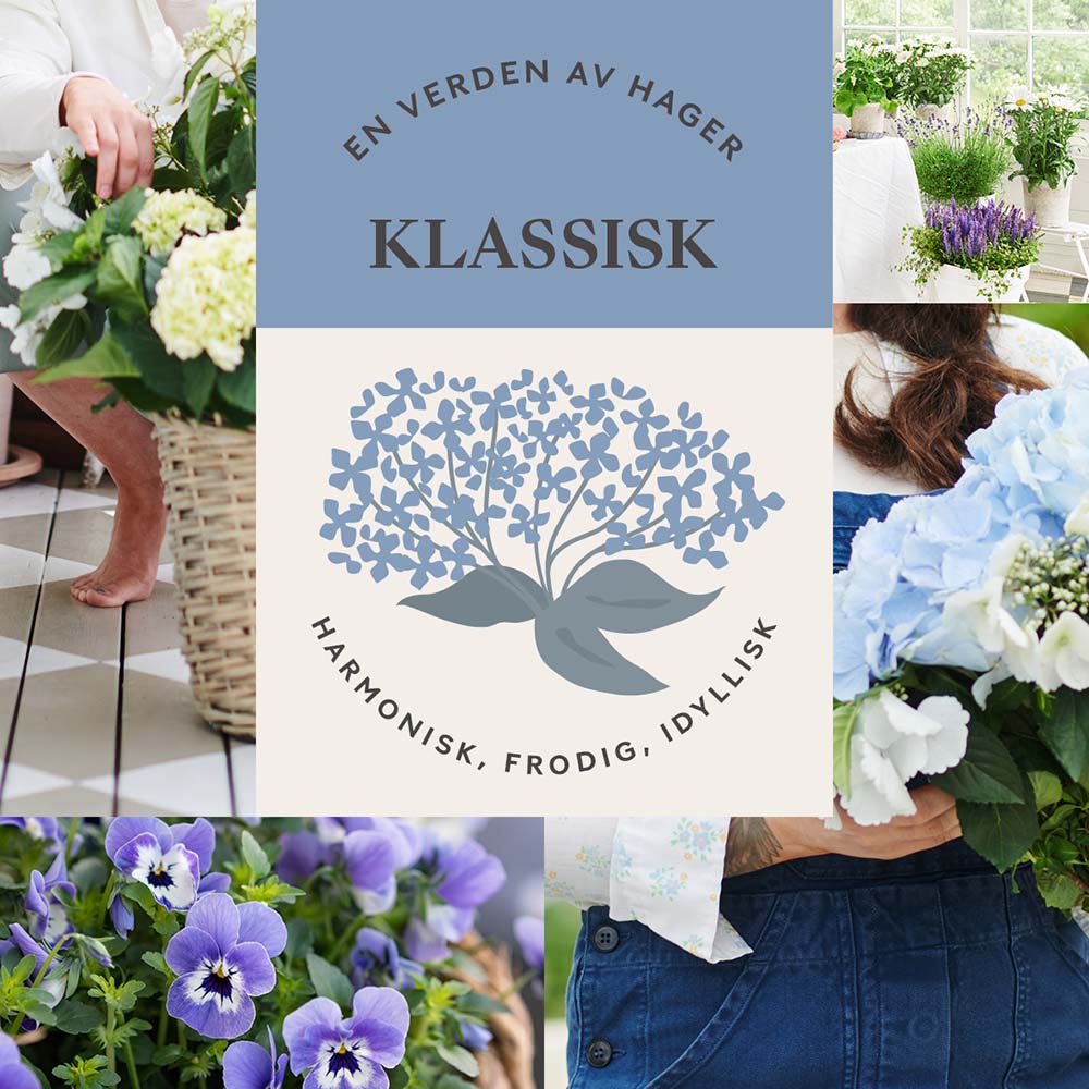 KLASSISK HAGE - harmonisk, frodig og idyllisk | Plantasjen